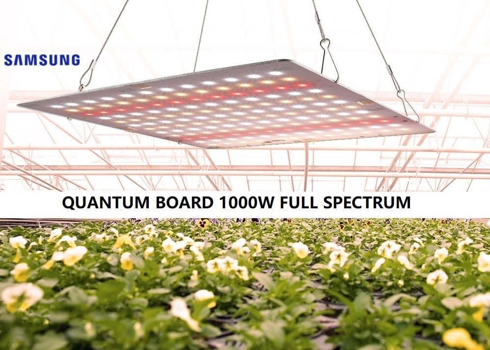 Conheça os Grow Leds Quantum Board com diodos da Samsung